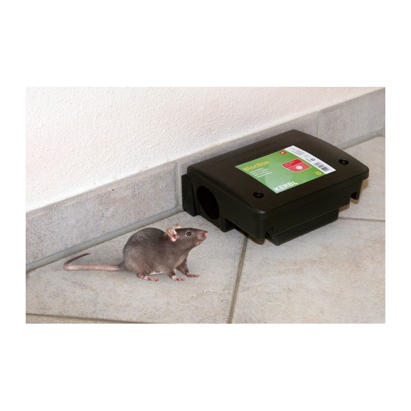Piège à rats BlocBox Beta en PVC avec support mural - KERBL