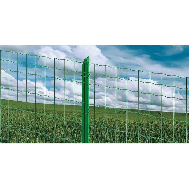 Piquet clôture en T Galvanisé à chaud